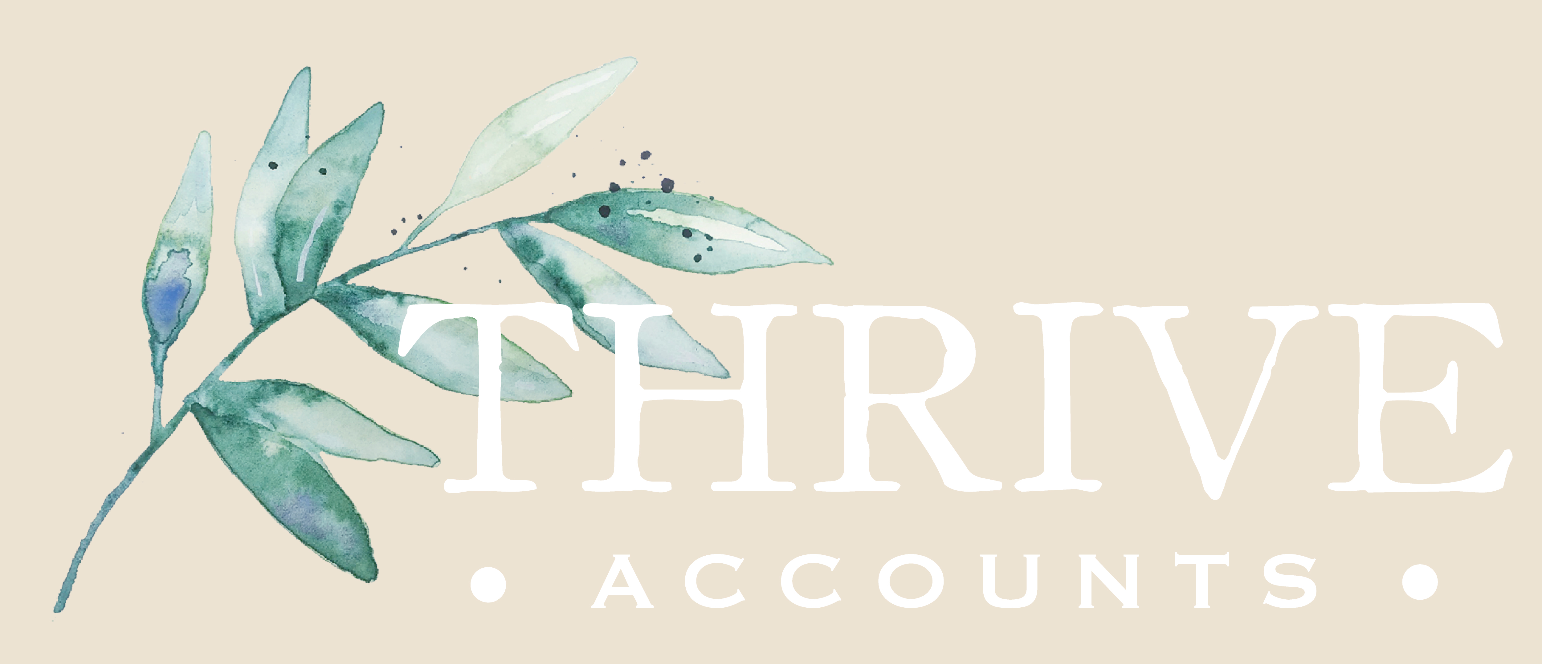 Thrive accounts | Thrive Accounts